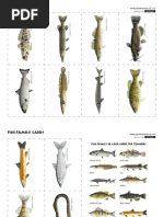 Kentucky Fish Species Guide | PDF | Fish | Aquatic Animals