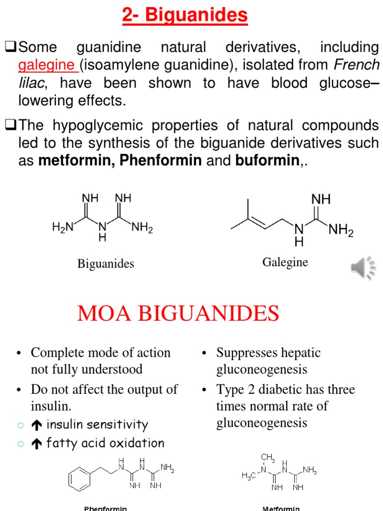 Galegine: Lilac, Have Been Shown To Have Blood Glucose | PDF ...