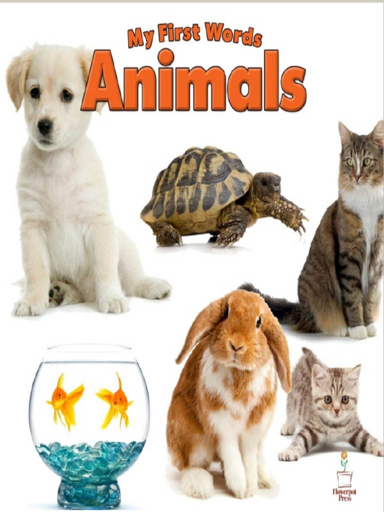 My First Words - Animals PDF | PDF
