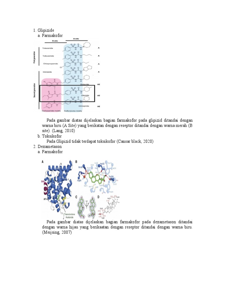 Farmakofor Glipizide dan Dexametason | PDF | Pengembangan Diri | Sains ...