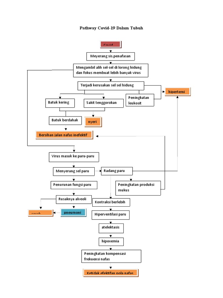 Pathway Covid 19 Refo | PDF