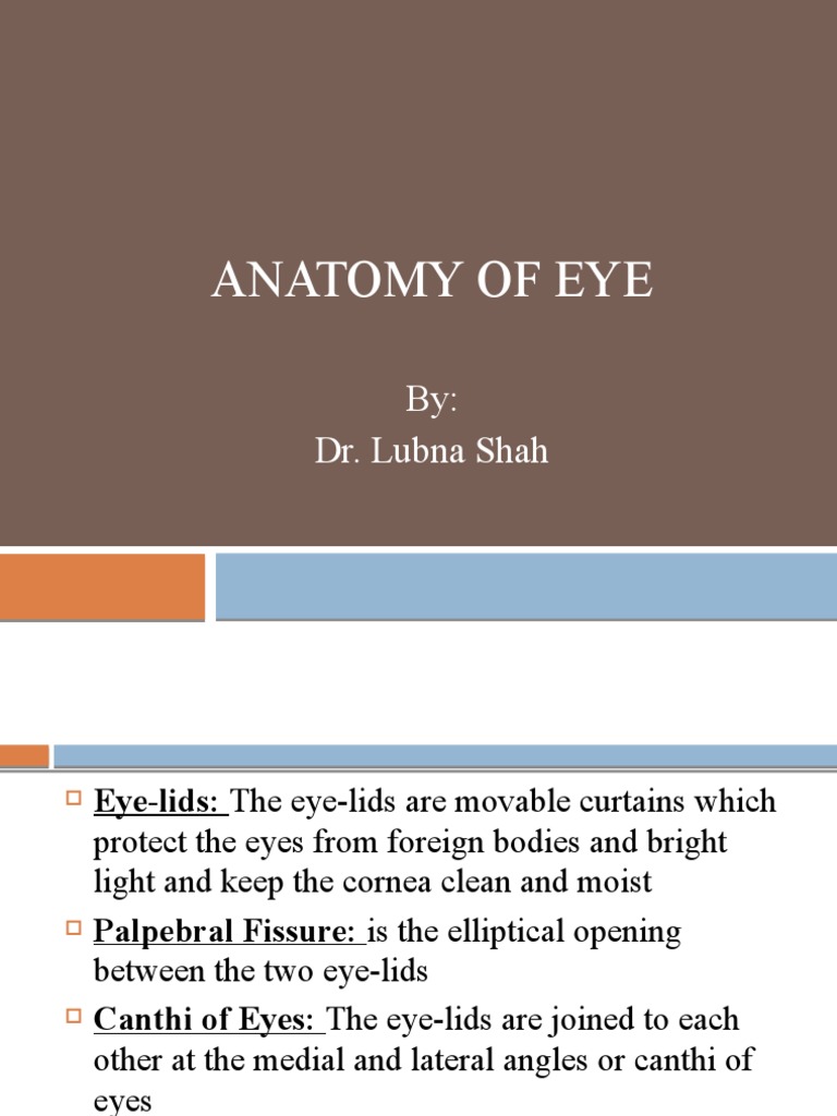 Anatomy of Eye: By: Dr. Lubna Shah | Download Free PDF | Retina | Cornea