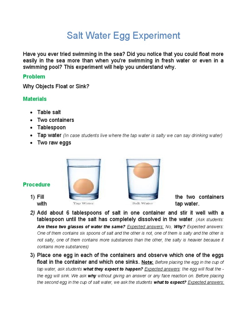 Salt Water Egg Experiment Conclusion