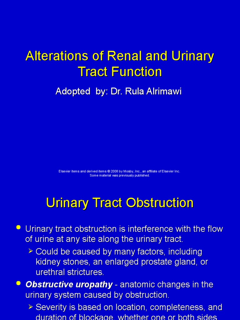 Alterations of Renal Function-1 | PDF | Urinary System | Renal Function