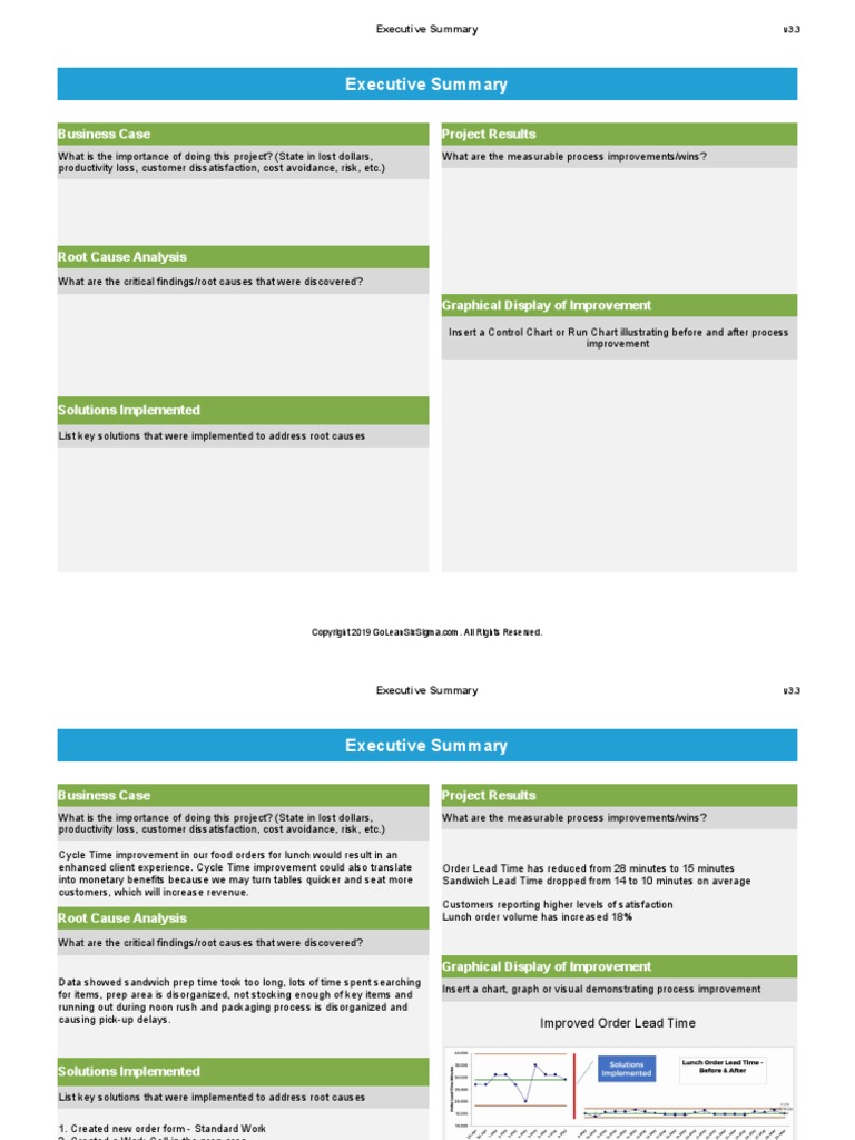 Executive Summary: Business Case Project Results | Download Free PDF ...