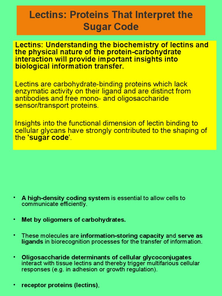 Lectins: Proteins That Interpret The Sugar Code | PDF | Cell Adhesion ...