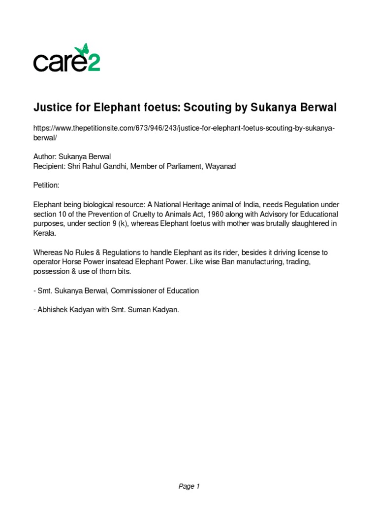 Petition Scouting For Unborn Baby Elephant, Killed As Elephant Foetus ...