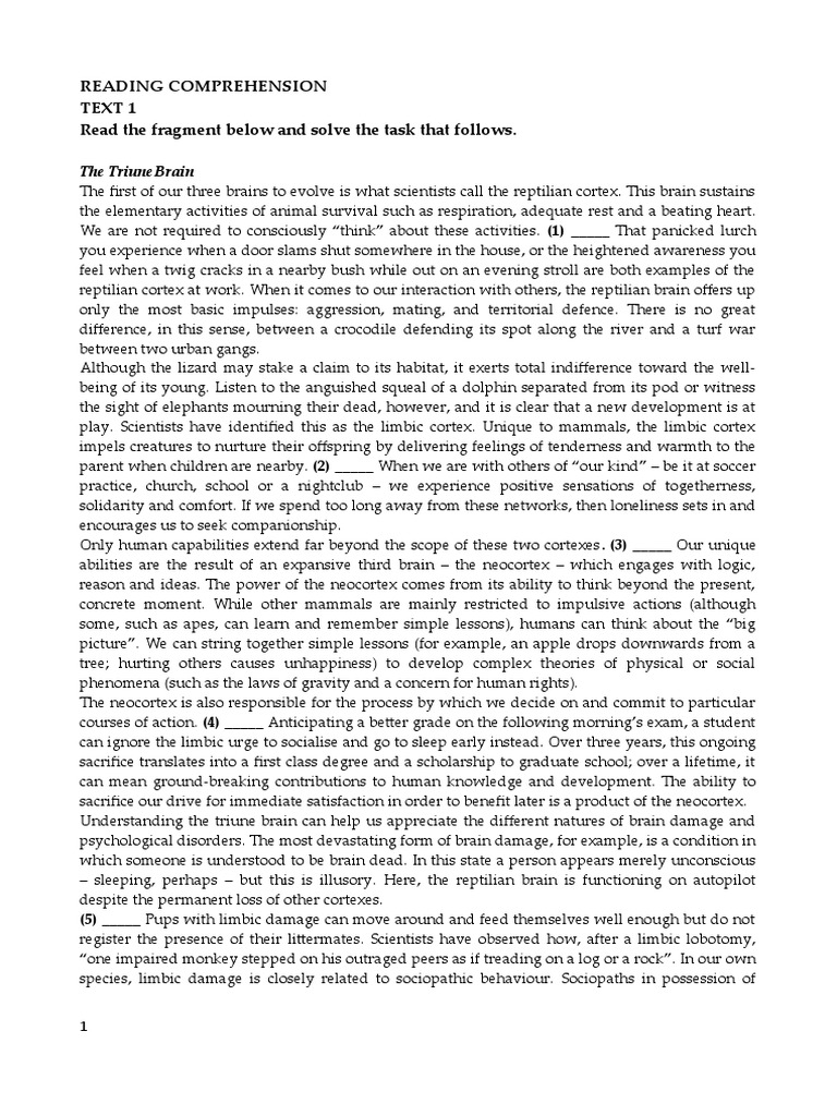 Reading Comprehension Text 1 Read The Fragment Below and Solve The Task ...