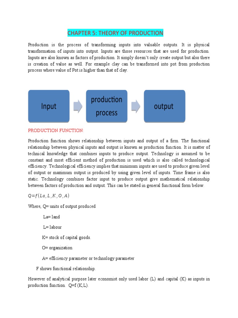 CHAPTER 5 Production Function | PDF | Production Function | Factors Of Production