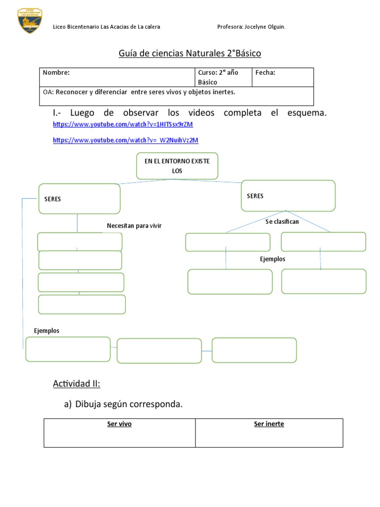 1° Guia Ciencias Seres Vivos e Inertes | PDF