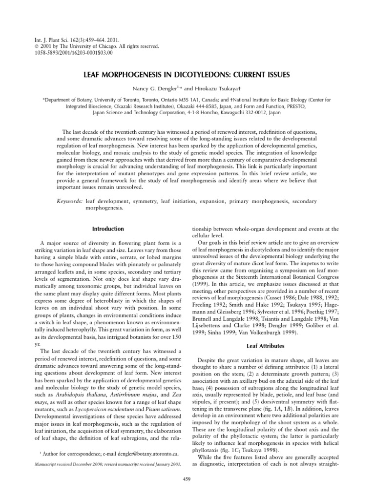 Leaf Development in Dicots | PDF | Morphogenesis | Leaf