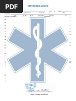 Formato Incapacidad Imss Editable Word | PDF