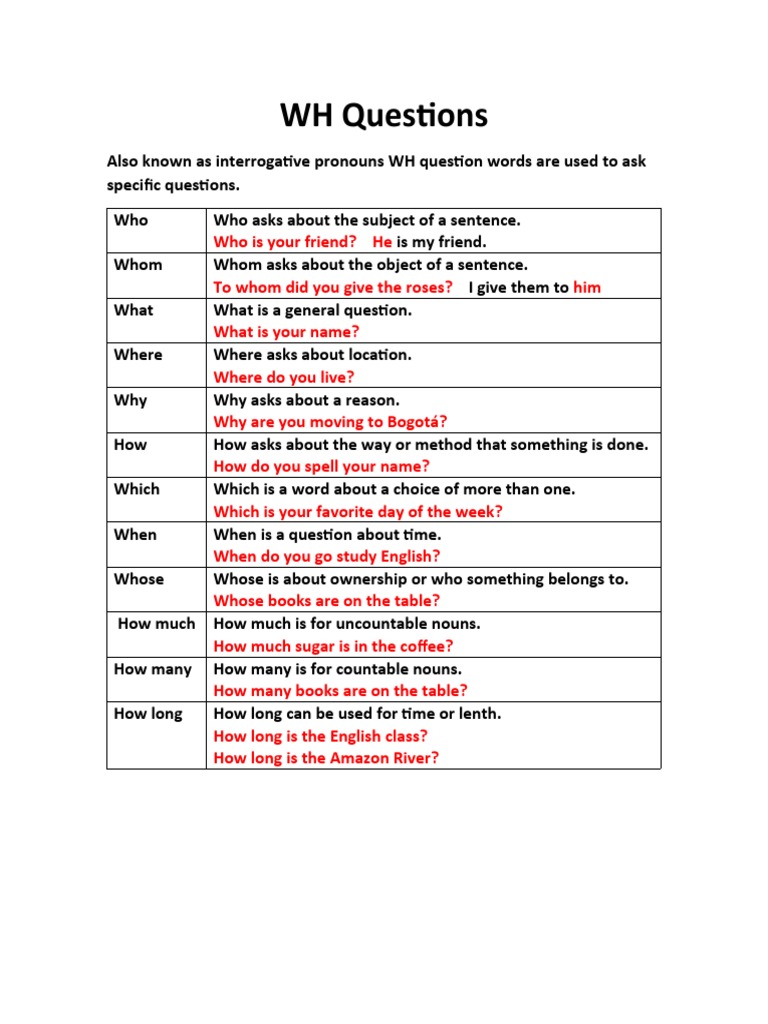 WH Questions | PDF | Question | Verb