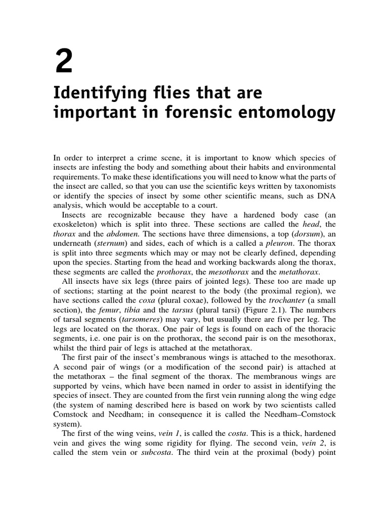 Identifying Flies That Are Important in Forensic Entomology | PDF ...