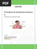 Arco de Riolano | PDF | Tinción | Anatomía