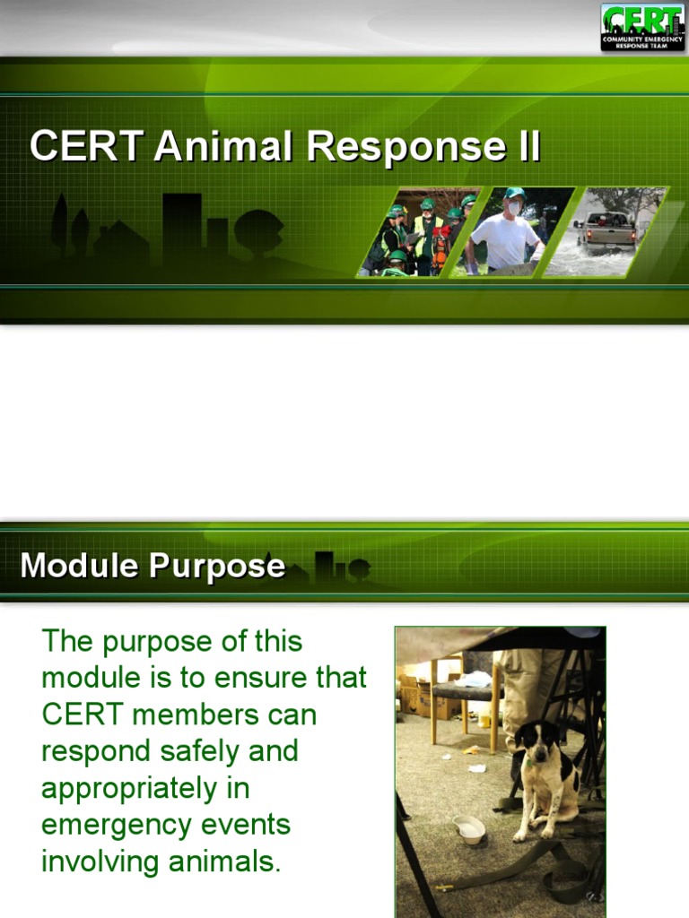 CERT Animal Response Training Guide | PDF | Leash | Emergency