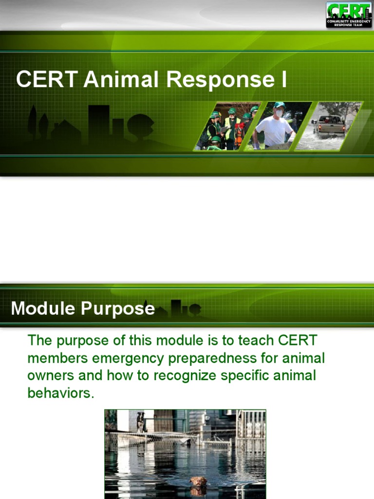 CERT Animal Response I | PDF | Emergency Management | Dogs