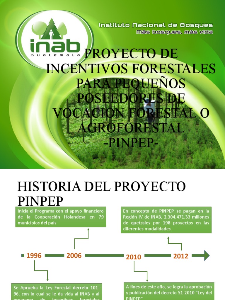 Aspectos Generales Pinpep | PDF | Los bosques | Agricultura