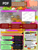 Prontal: Uso y Contraindicaciones | PDF | Citocina | Osteoartritis