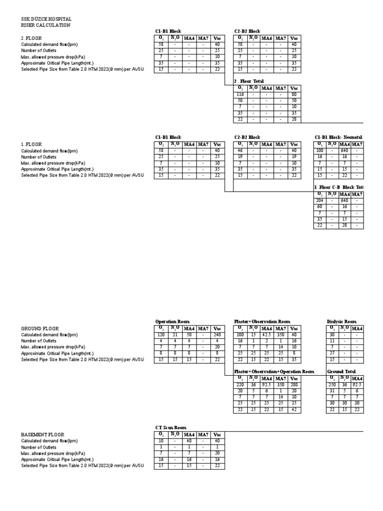 Medical Riser Calculation Pdf Gas Technologies Chemical Engineering