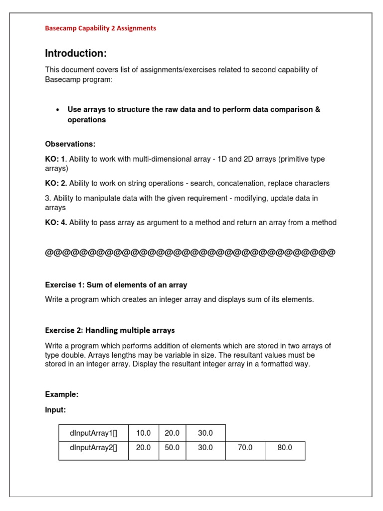 Capability2 Assignment Pdf Integer Computer Science Matrix