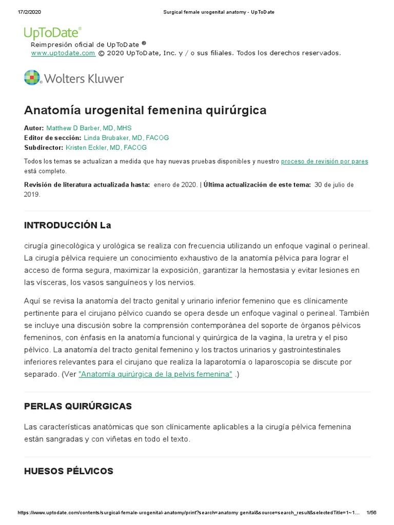 C2 Surgical Female Urogenital Anatomy - UpToDate | PDF | Pelvis | Vagina
