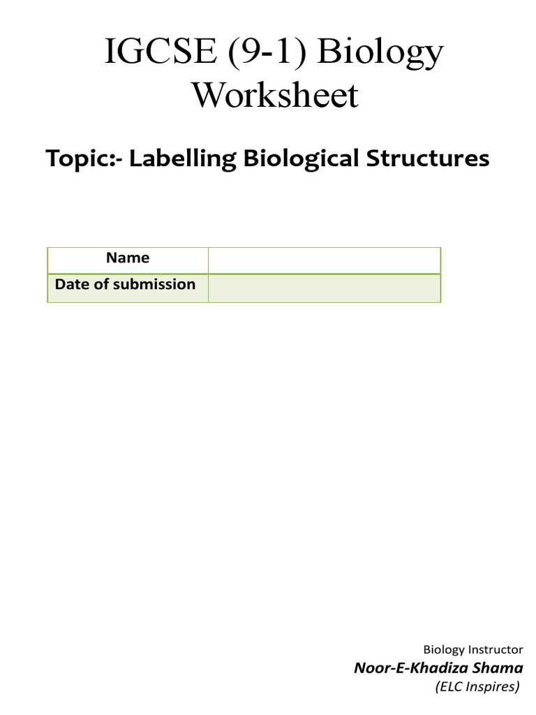 IGCSE (9-1) Biology Worksheet: Topic:-Labelling Biological Structures | PDF