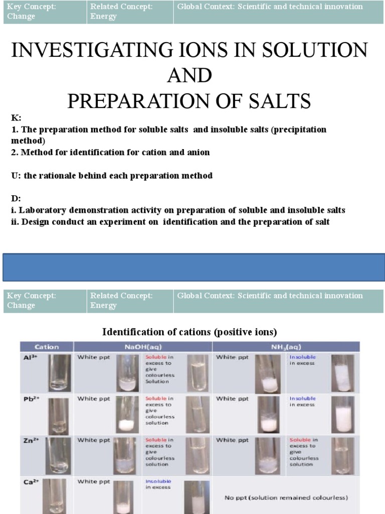 Salt Preparation and Cation Anion Analysis | PDF | Salt (Chemistry ...