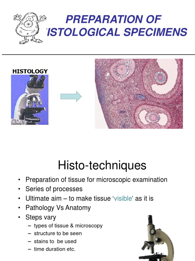 Preparation of Histological Specimens | PDF | Fixation (Histology ...