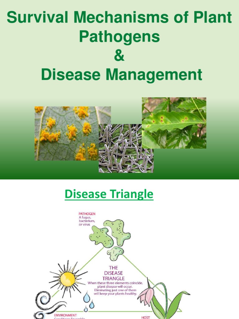 Survival Mechanisms of Plant Pathogens & Disease Management | PDF ...