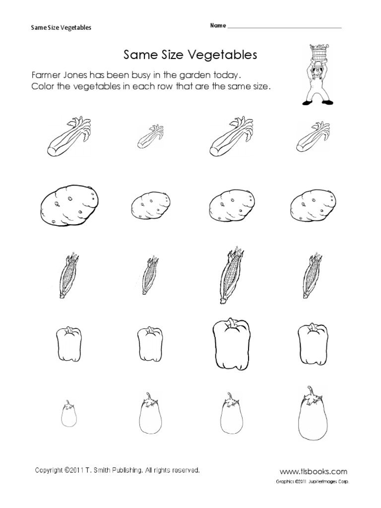 Matching Same-Sized Items: A Visual Activity Worksheet for Comparing ...