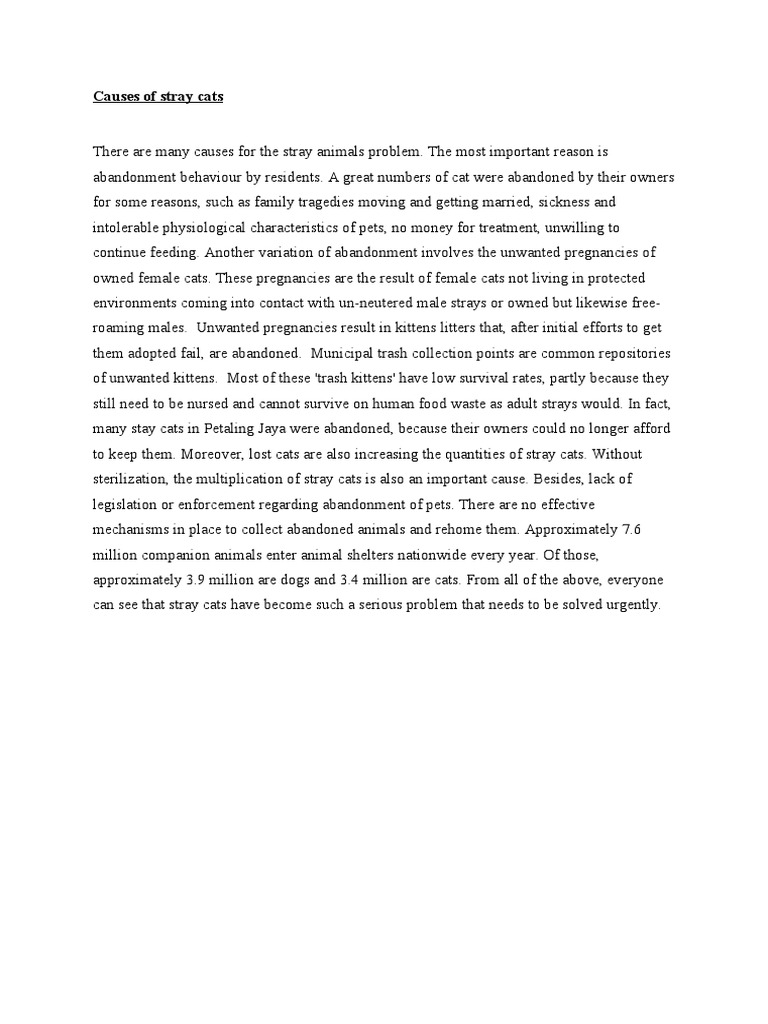 Causes of Stray Cat Overpopulation | PDF | Wellness