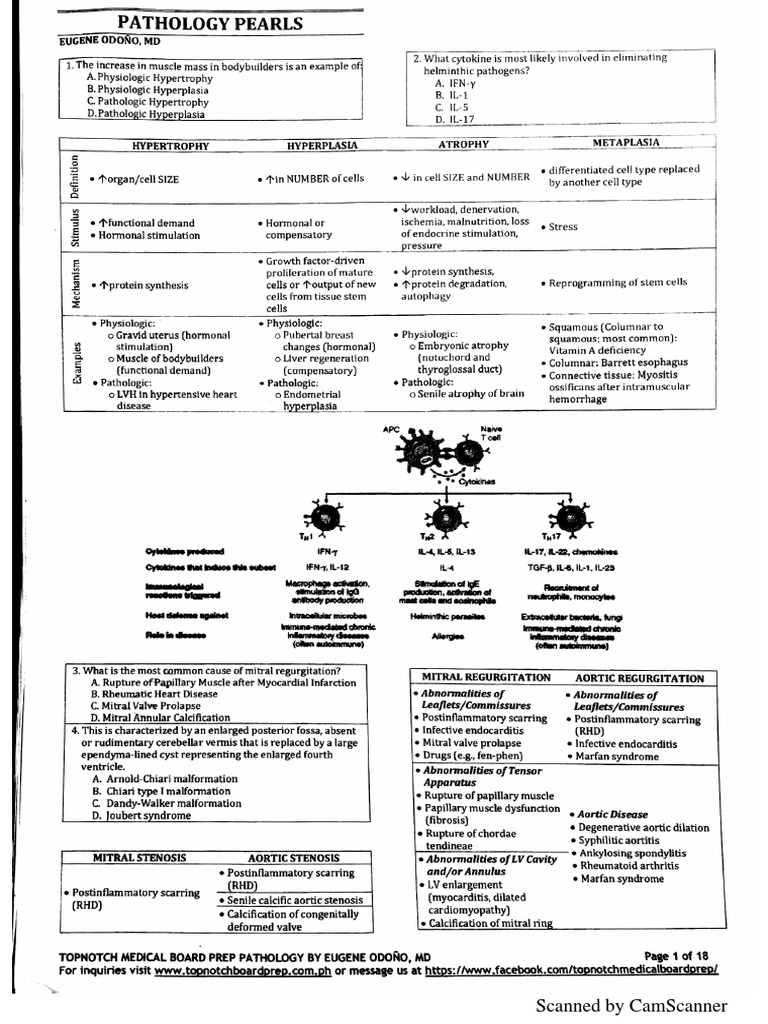 TOPNOTCH Pathology Pearls September 2018 PDF | PDF
