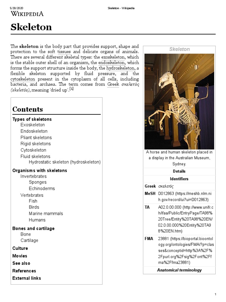 Skeleton - Wikipedia | PDF | Skeleton | Cartilage