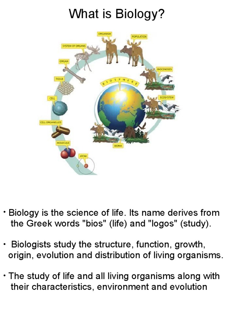 What Is Biology? | PDF | Cell (Biology) | Organisms