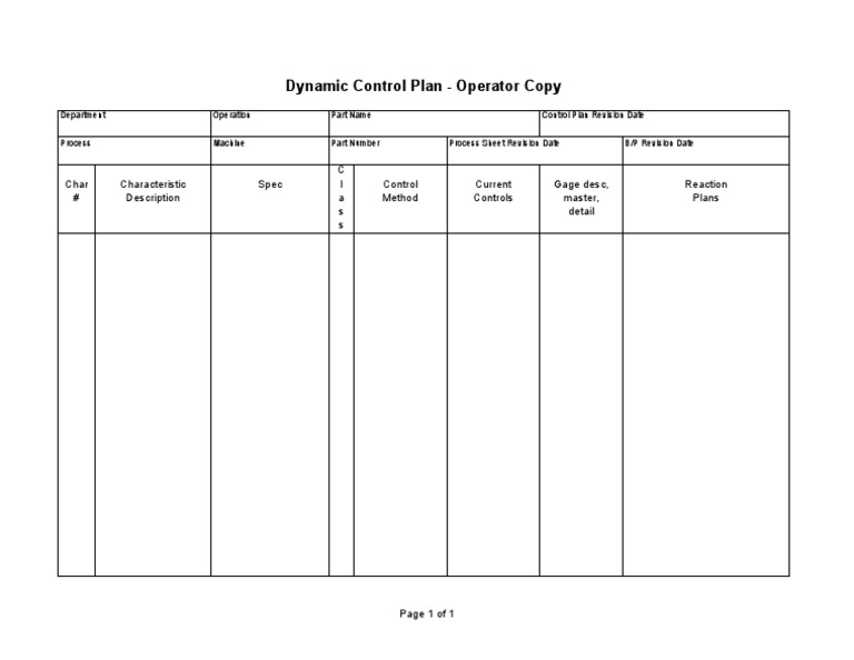 Dynamic Control Plan Overview | PDF
