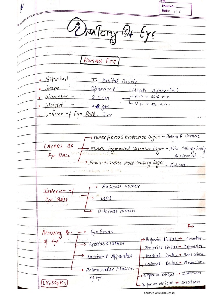 Anatomy and Physiology of Eye | PDF