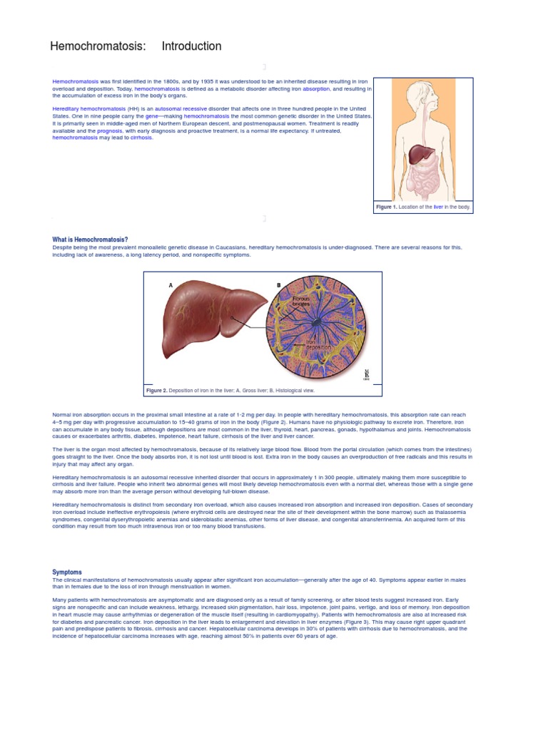 Hemochromatosis PDF | PDF | Vein | Liver
