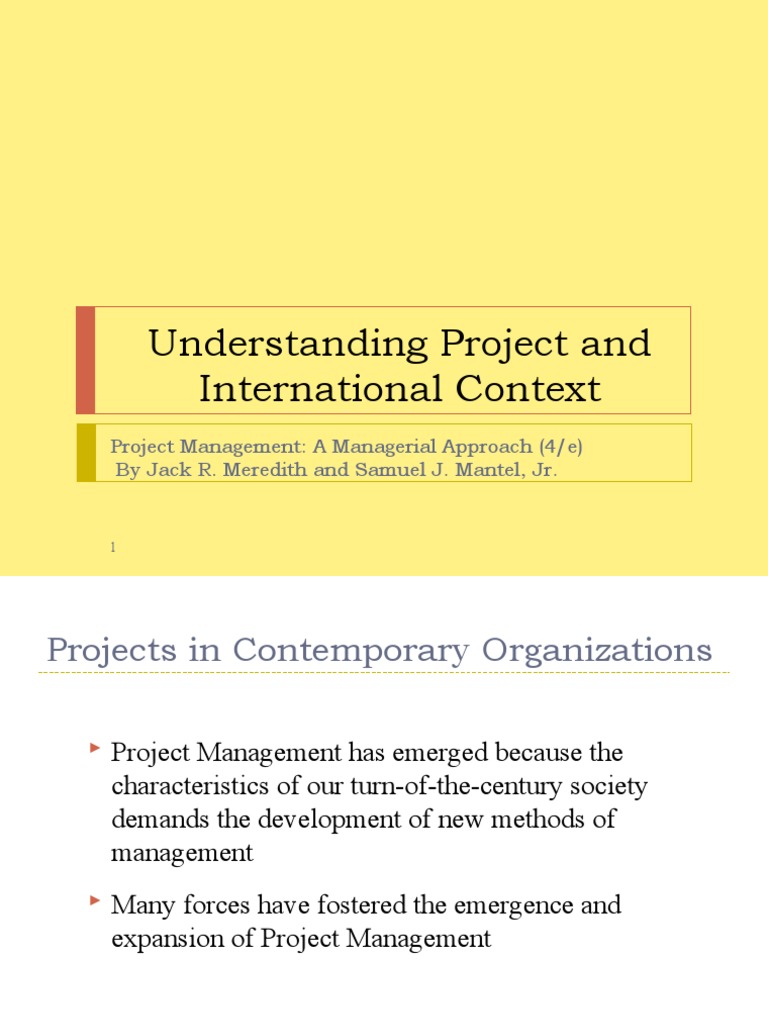 Understanding Project and International Context | PDF | Nature ...