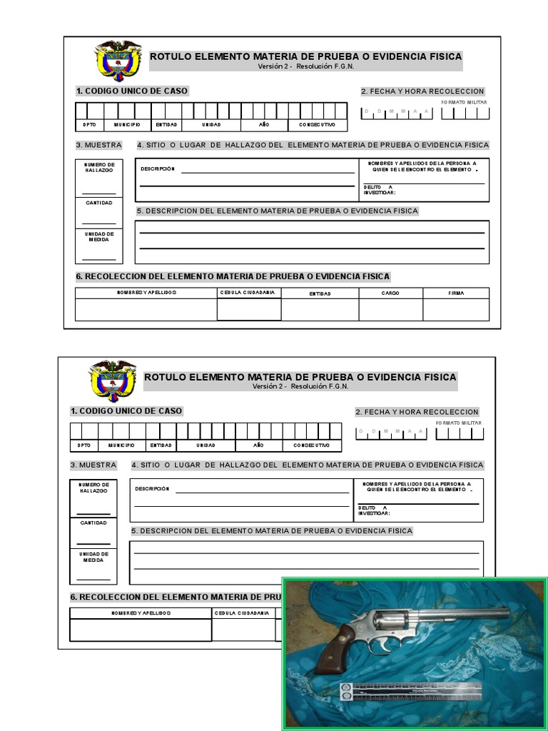 FPJ-07 Rotulo Cadena de Custodia | PDF | Violencia