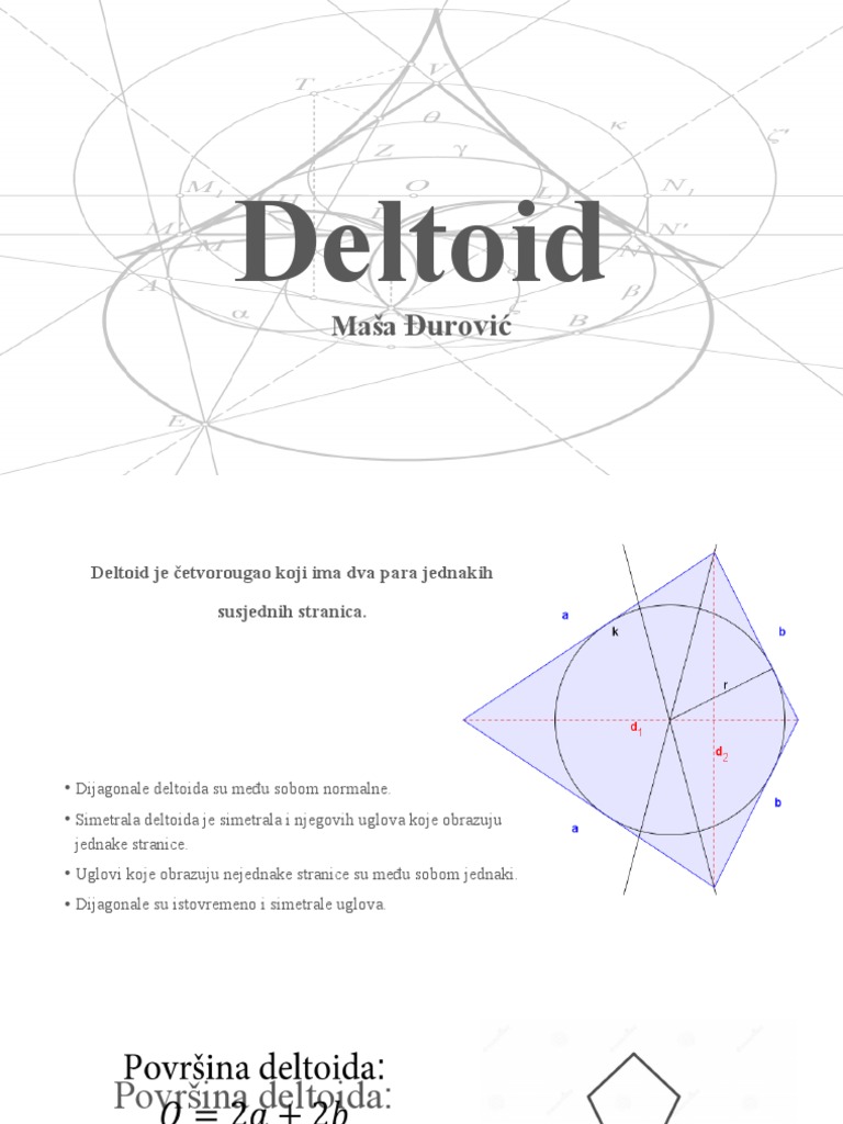 Deltoid | PDF