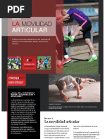 Elongación y Movilidad Articular: Claves para la Salud | PDF ...