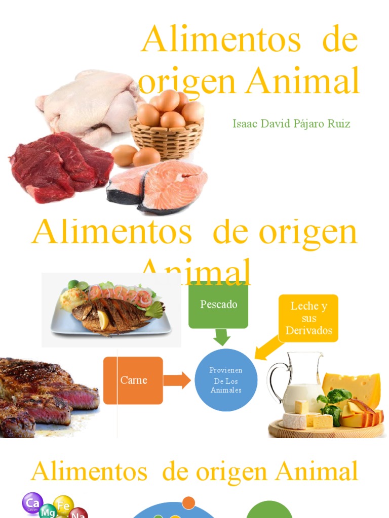 Alimentos de Origen Animal y Sus Tipos | PDF
