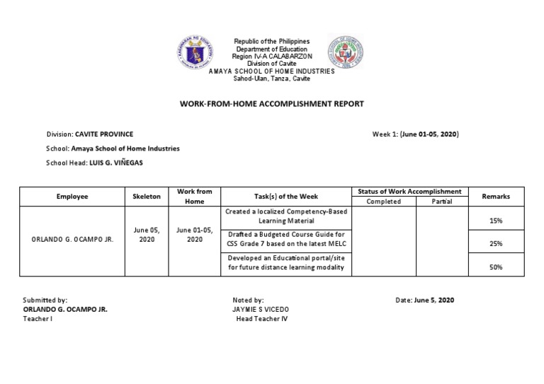 WFH Accomplishment Report | PDF