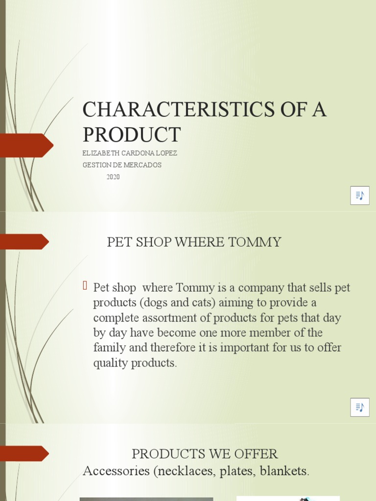 Characteristics of A Product | PDF