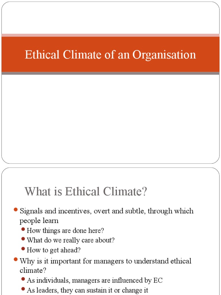 Establishing an Effective Organizational Ethics Program: A ...