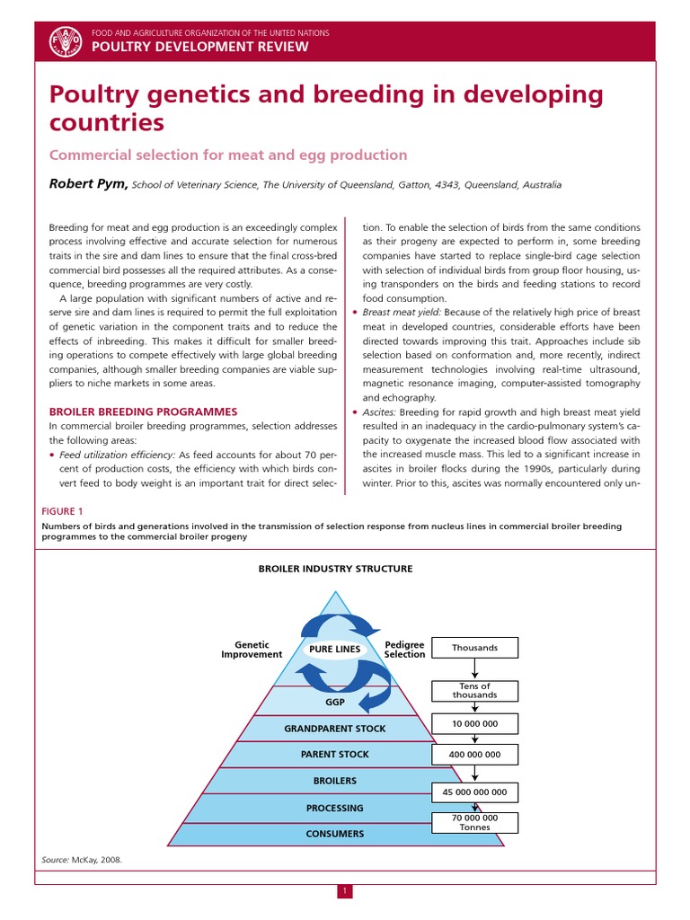 Poultry Genetics and Breeding in Developing PDF | PDF | Broiler | Plant ...