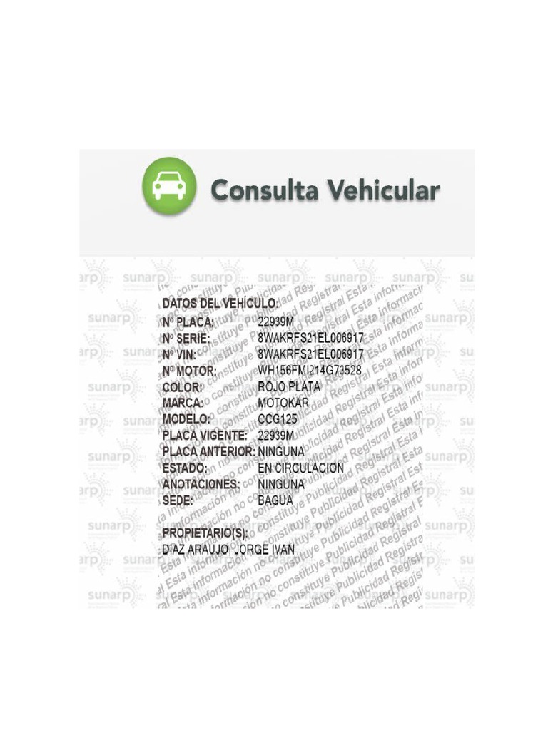 Consulta Vehicular | PDF