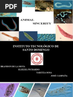 Allobates niputidea: Especie Única | PDF | Taxonomía (biología) | Género