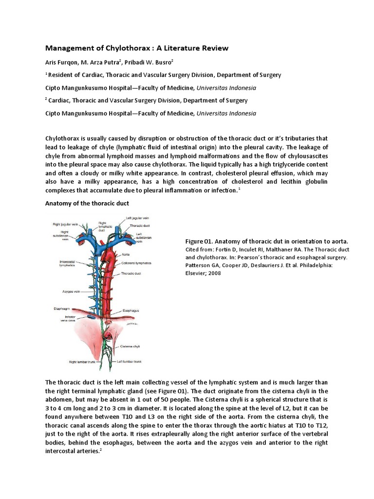 Chylothorax Management Overview | PDF | Lymph | Aorta